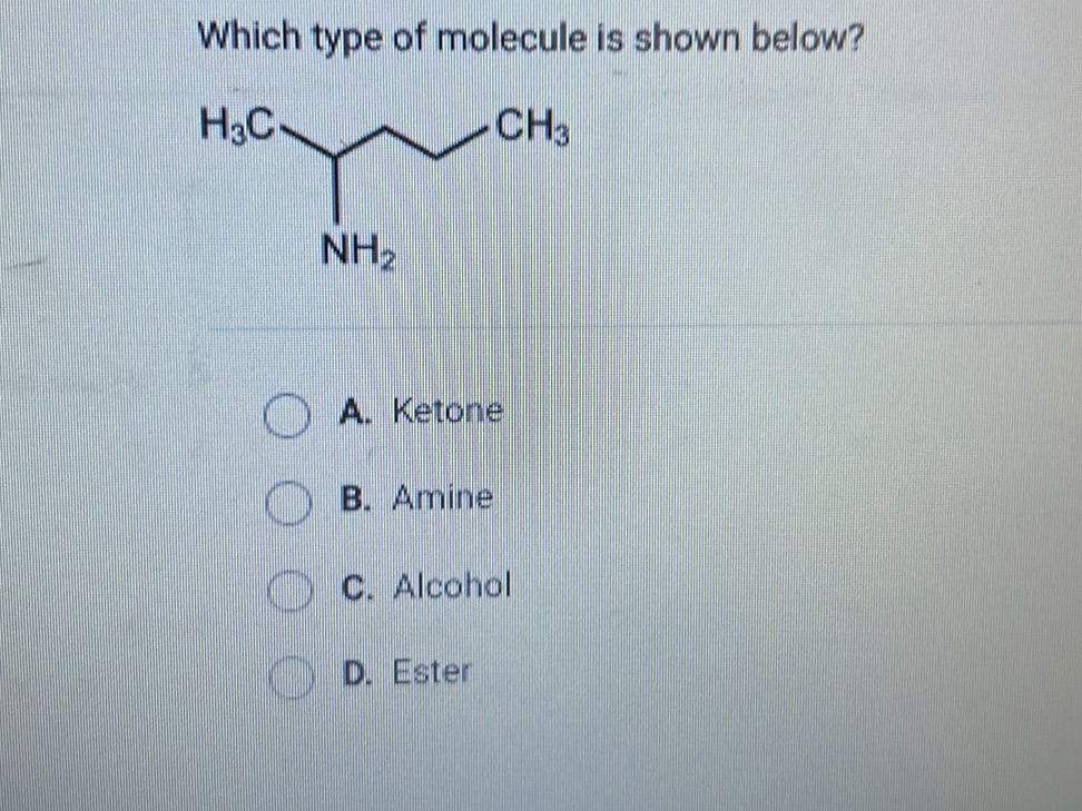 Which type of molecule is shown below? A.