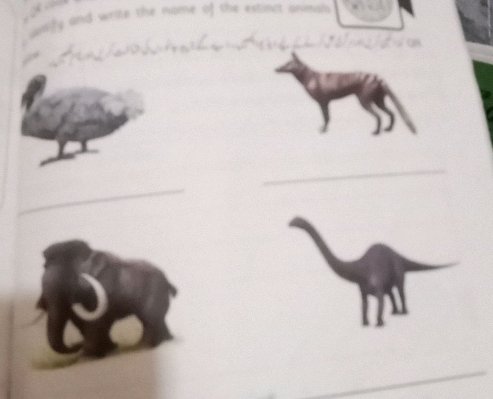 Identify and write the name of the extinct | StudyX