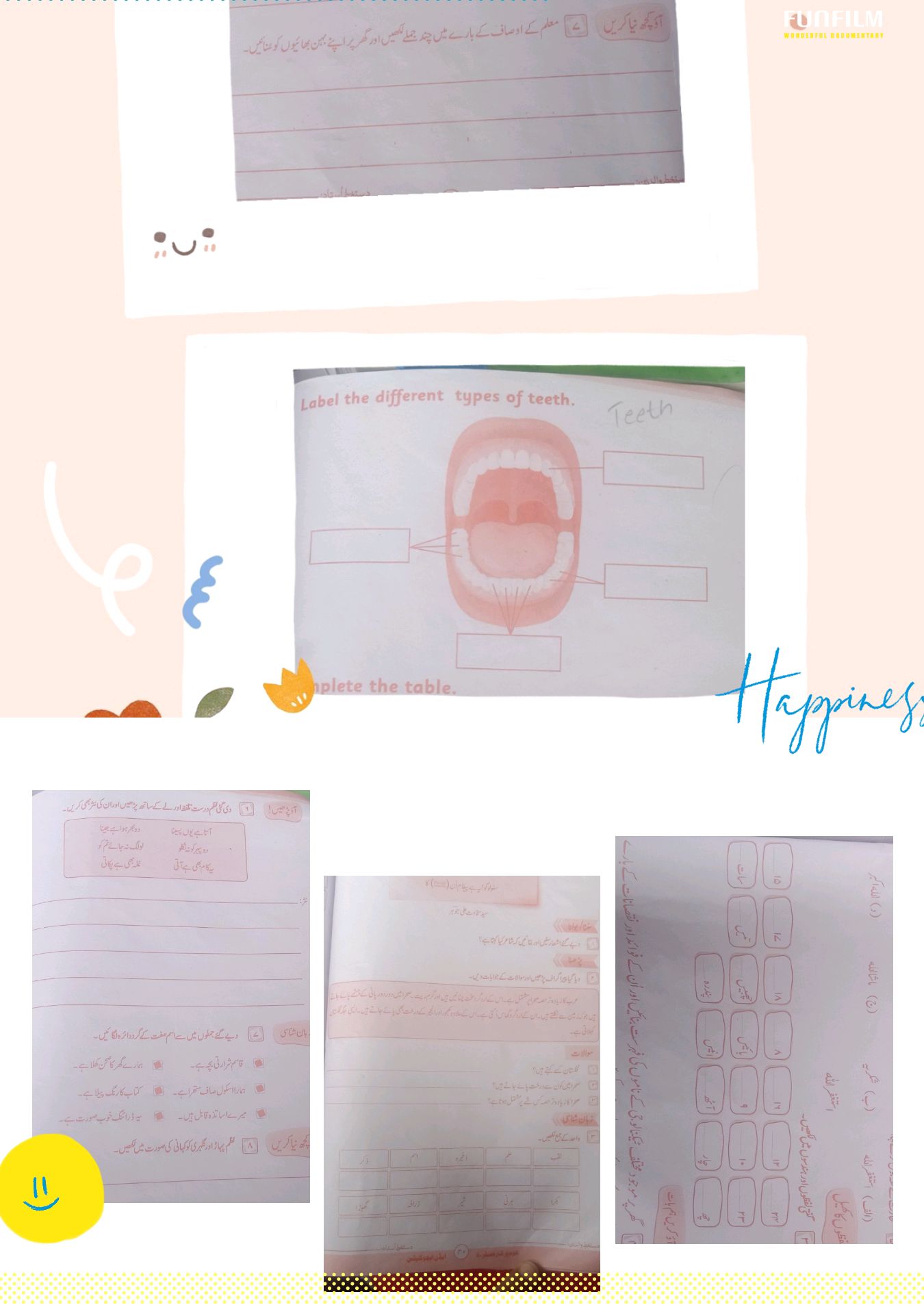 Label the different types of teeth. Teeth