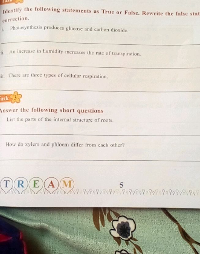 Identify the following statements as True or | StudyX