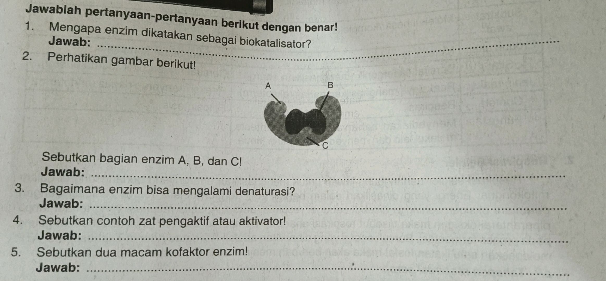 Mengapa enzim dikatakan sebagai