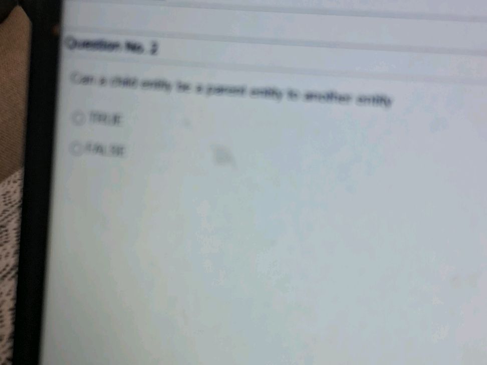 Question No. 2 Can a child entity be a | StudyX