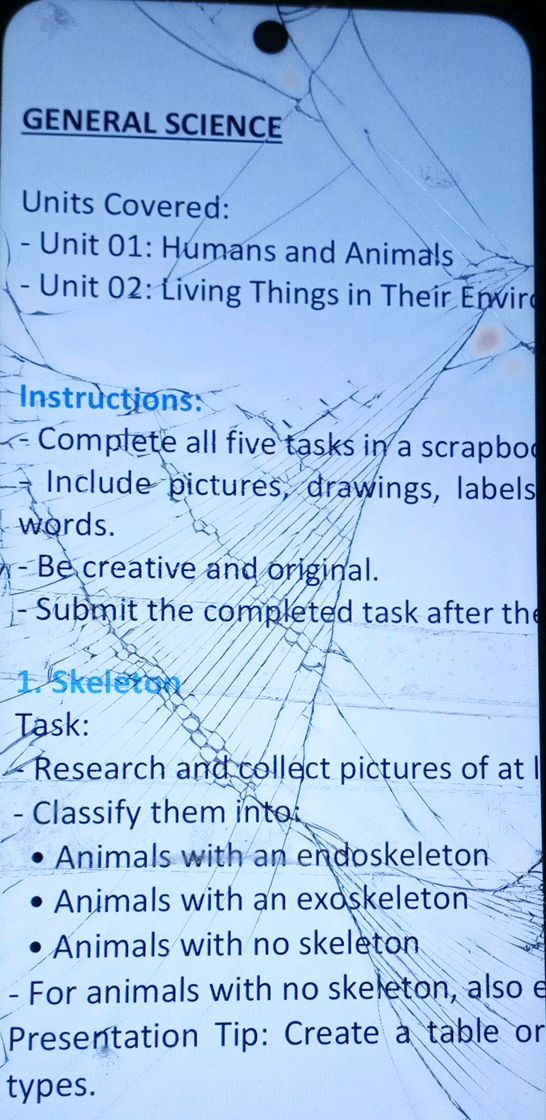 Skeleton Task: Research and collect pictures