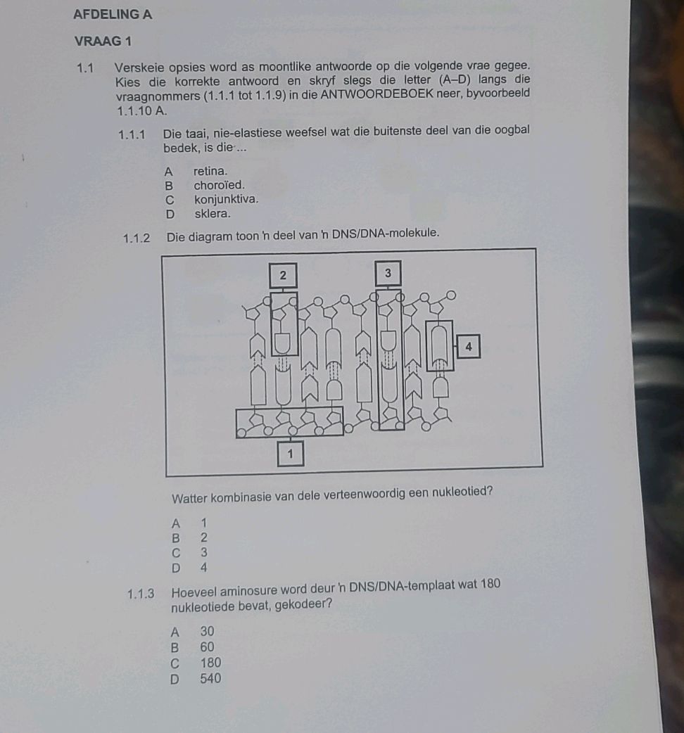 1.1.1 Die taai, nie-elastiese weefsel wat