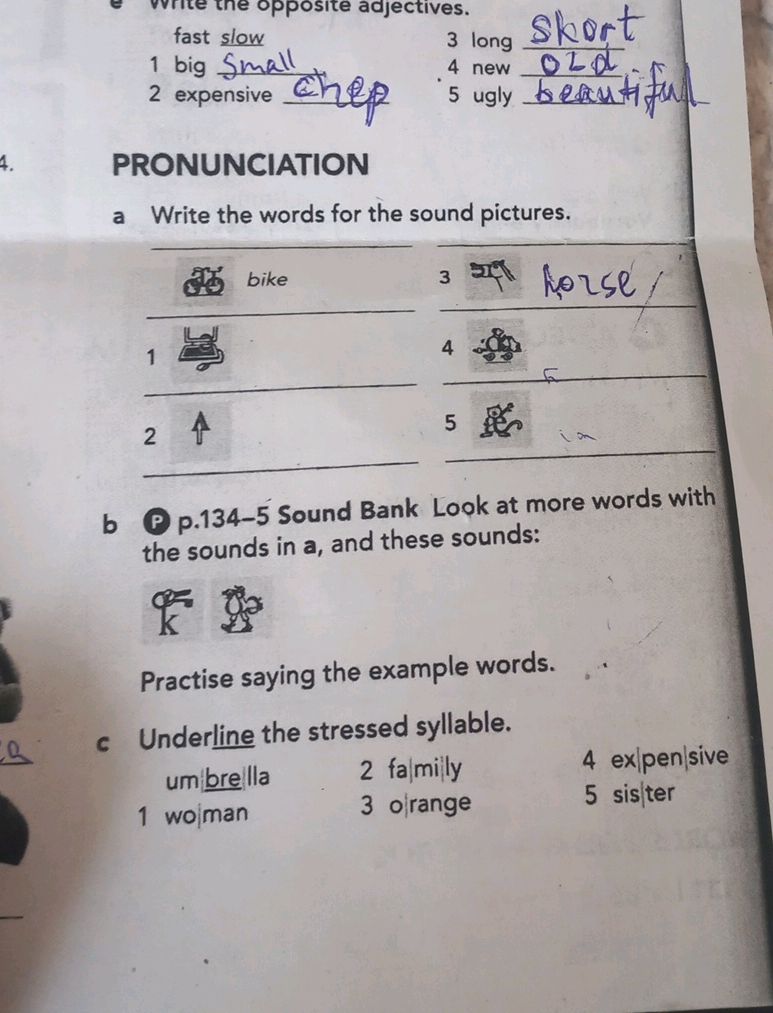 e. Write the opposite adjectives. 1. big | StudyX