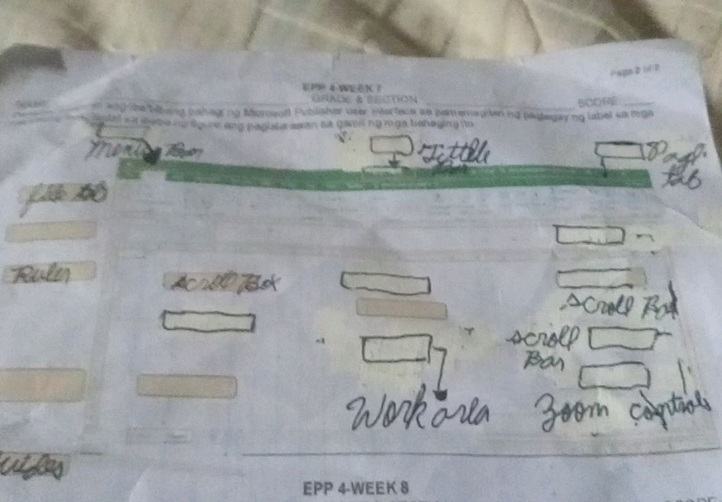 Label the parts of the Microsoft Publisher | StudyX