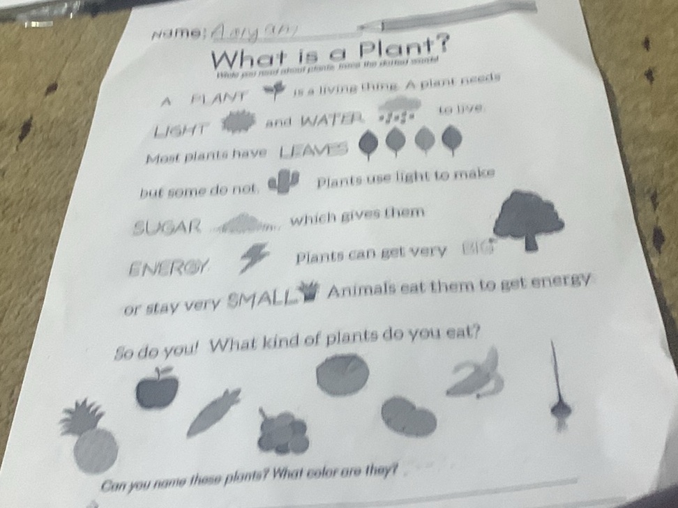 What is a Plant? A PLANT is a living thing.