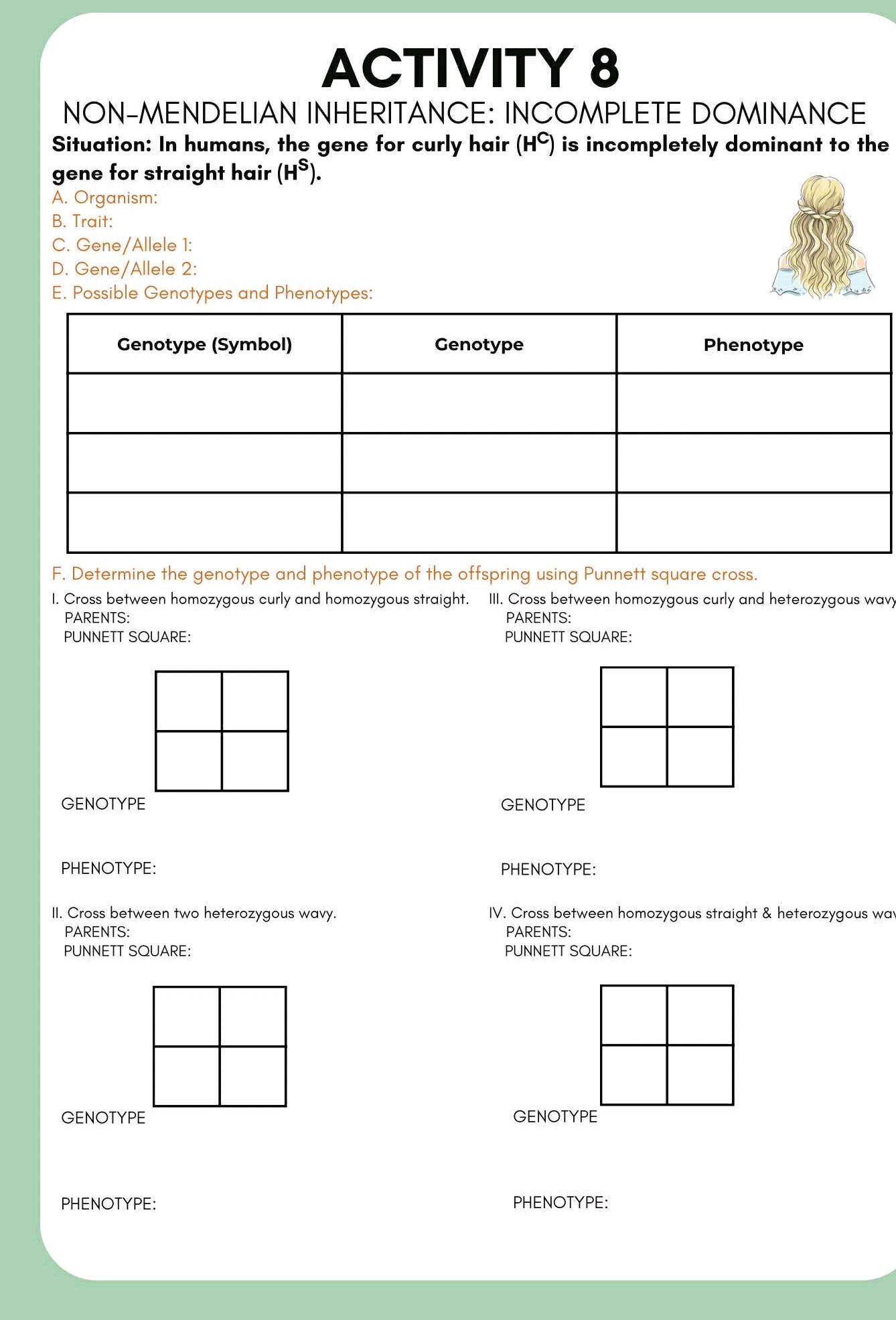ACTIVITY 8 NON-MENDELIAN INHERITANCE: | StudyX