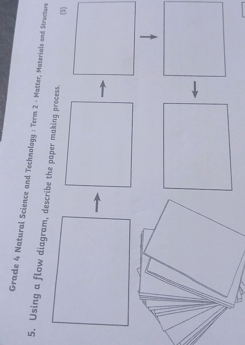 5. Using a flow diagram, describe the paper | StudyX