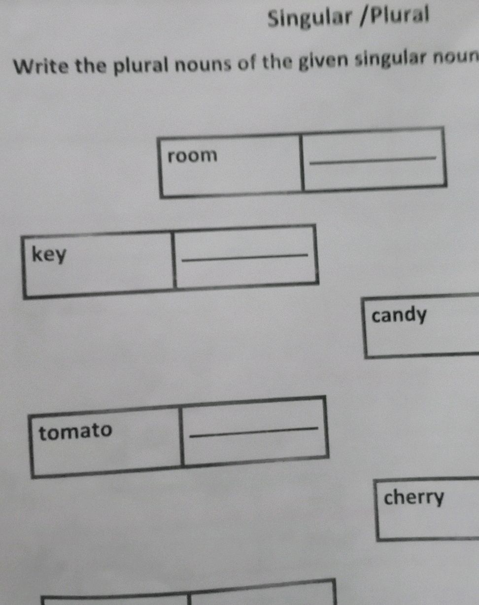Write the plural nouns of the given singular | StudyX