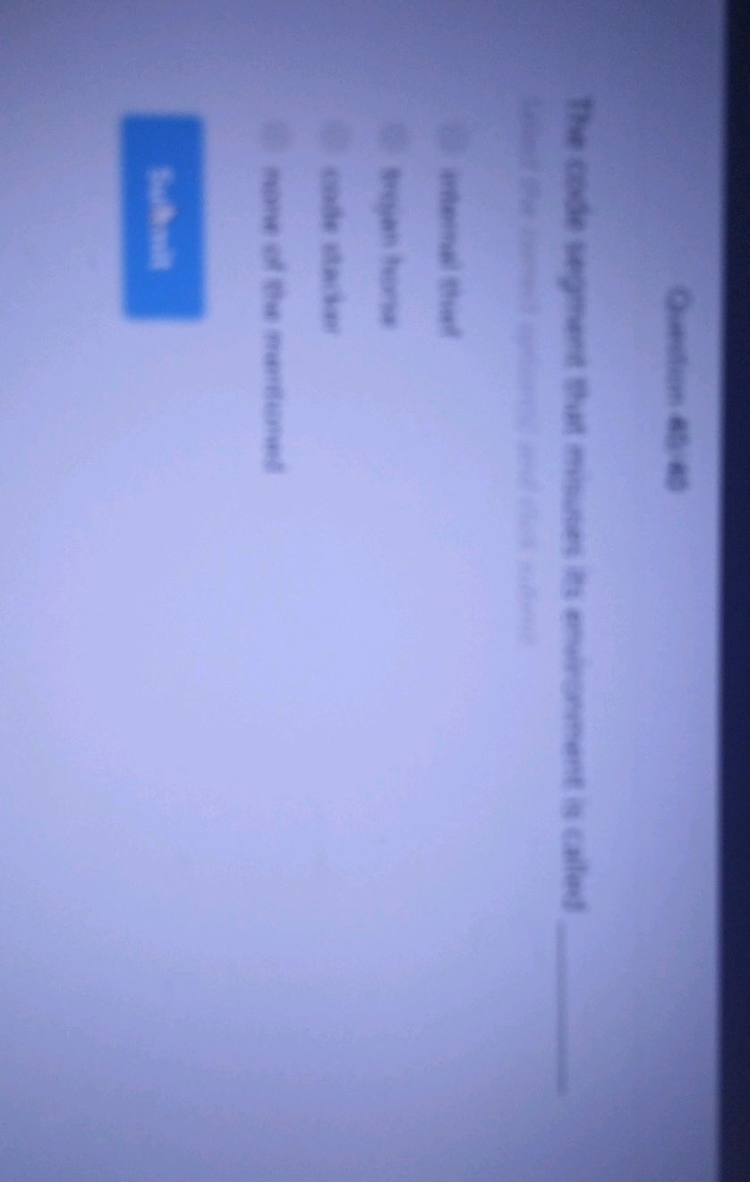 The code segment that misuses its | StudyX