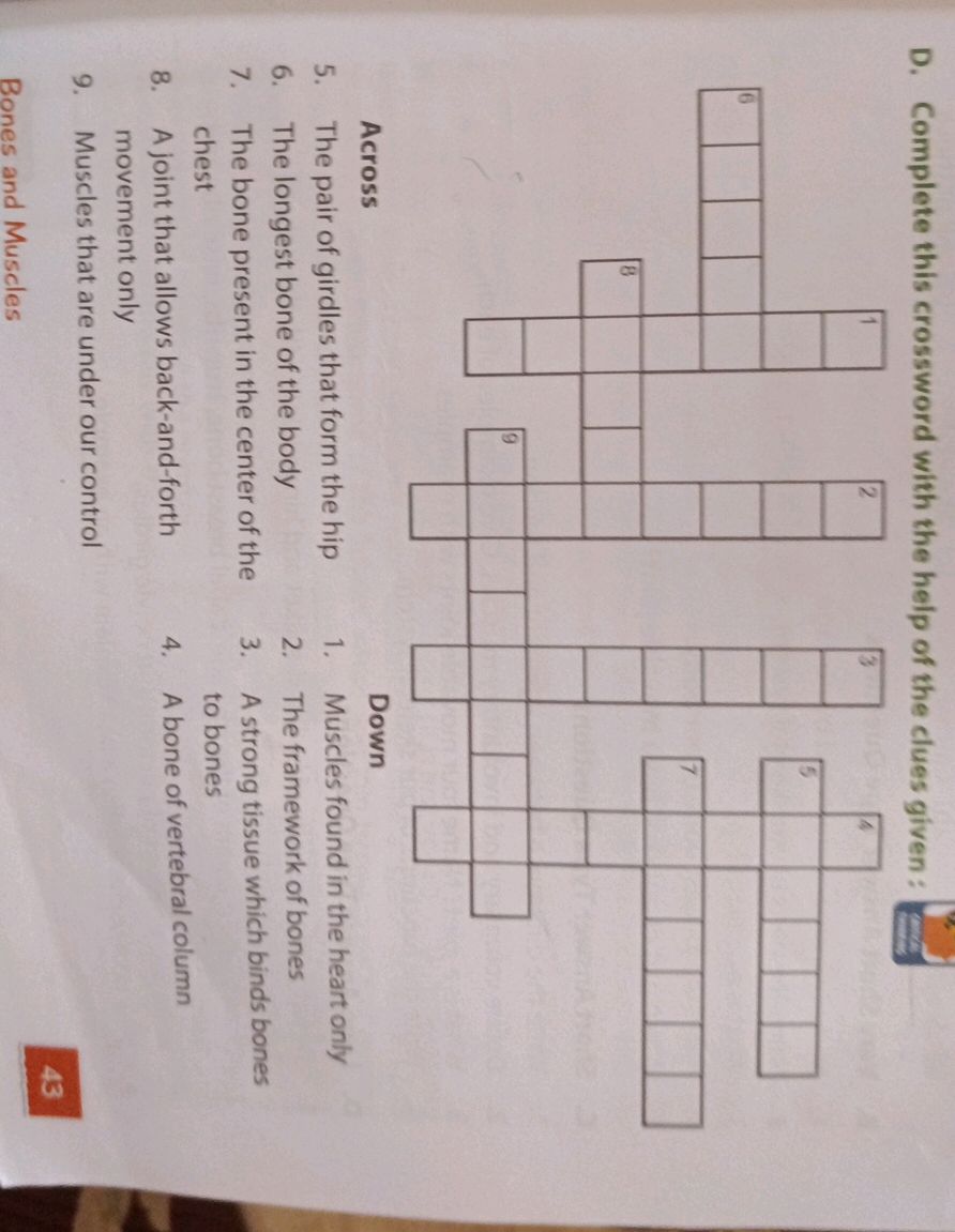 D. Complete this crossword with the help of