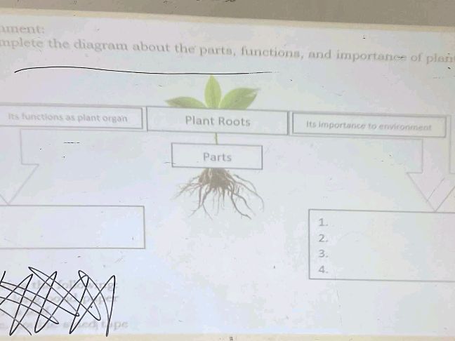 Complete the diagram about the parts, | StudyX
