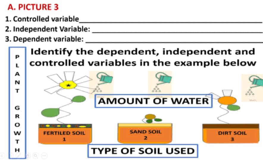 A. PICTURE 3 1. Controlled variable: 2. | StudyX