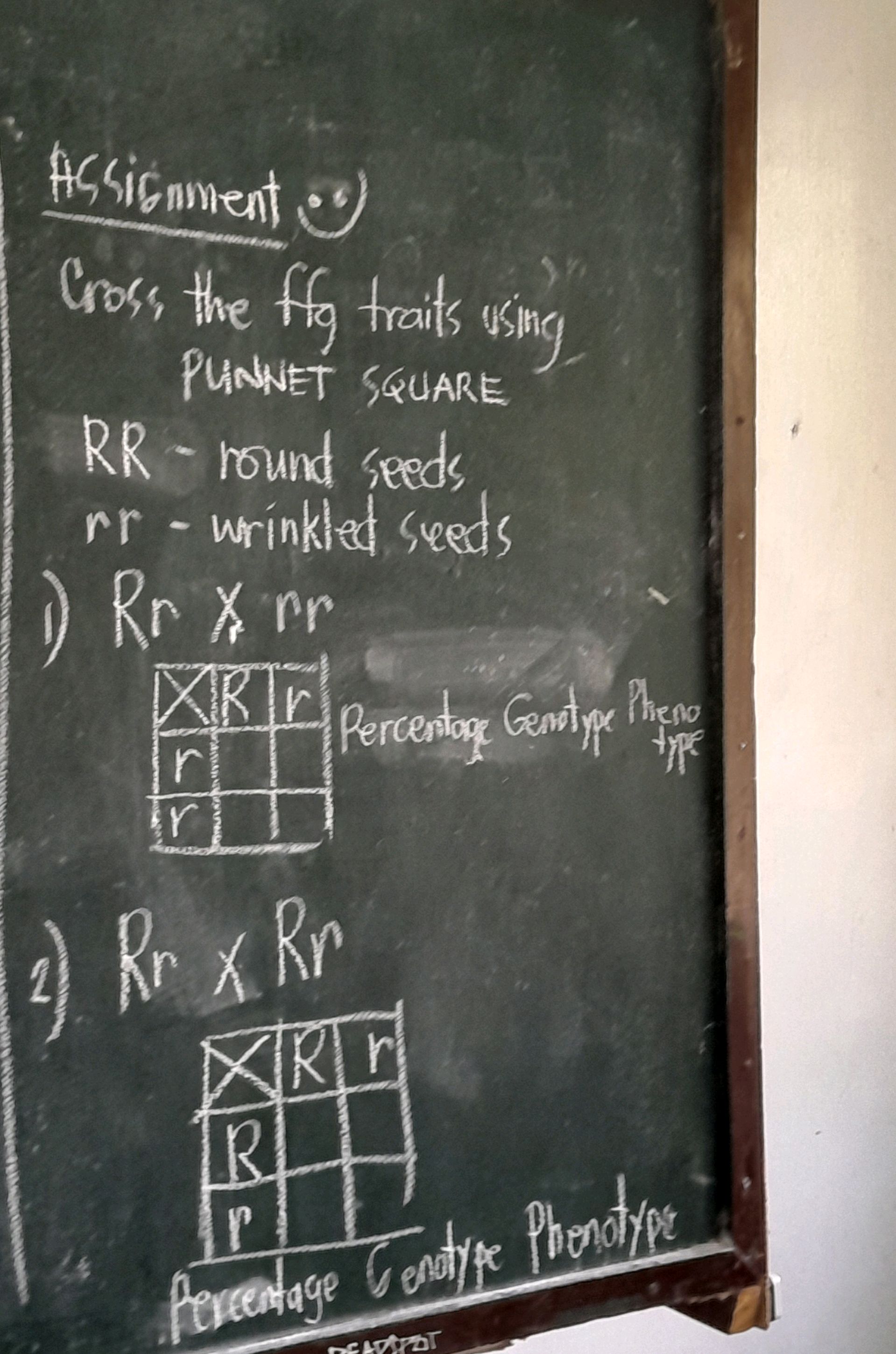 Assignment Cross the ffg traits using PUNNET | StudyX