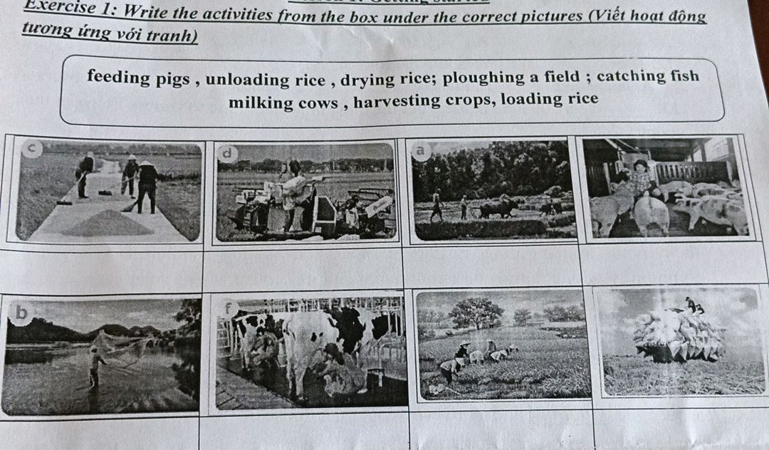 Exercise 1: Write the activities from the | StudyX