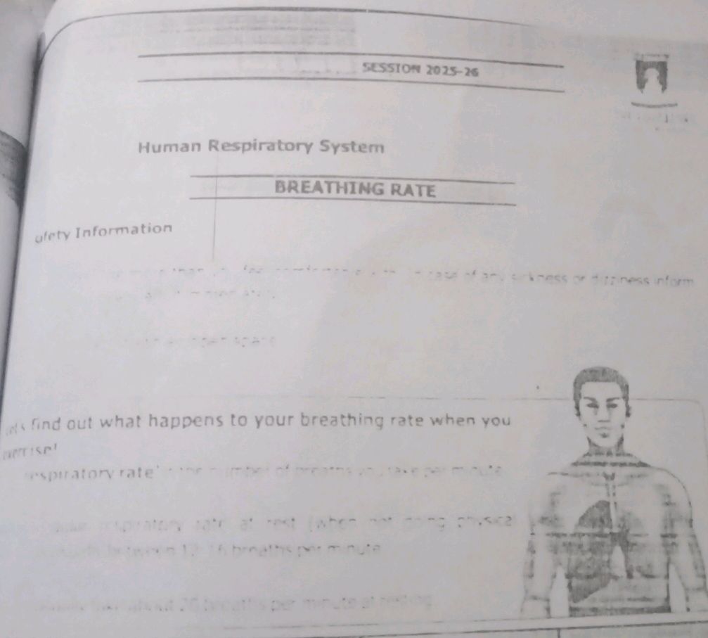 Human Respiratory System BREATHING RATE | StudyX