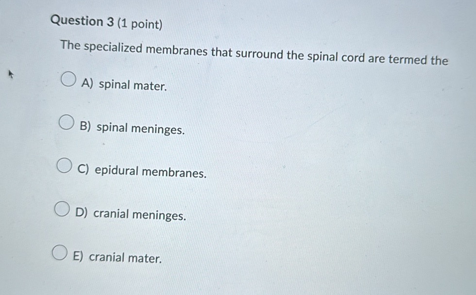 Question 3 (1 point) The specialized | StudyX