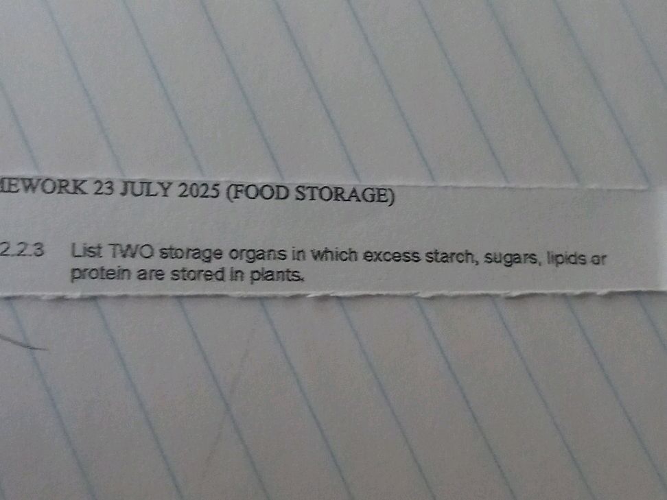 2.2.3 List TWO storage organs in which | StudyX