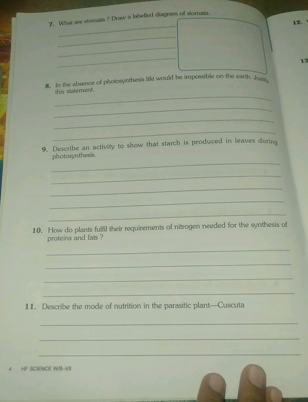 7. What are stomata? Draw a labelled diagram | StudyX