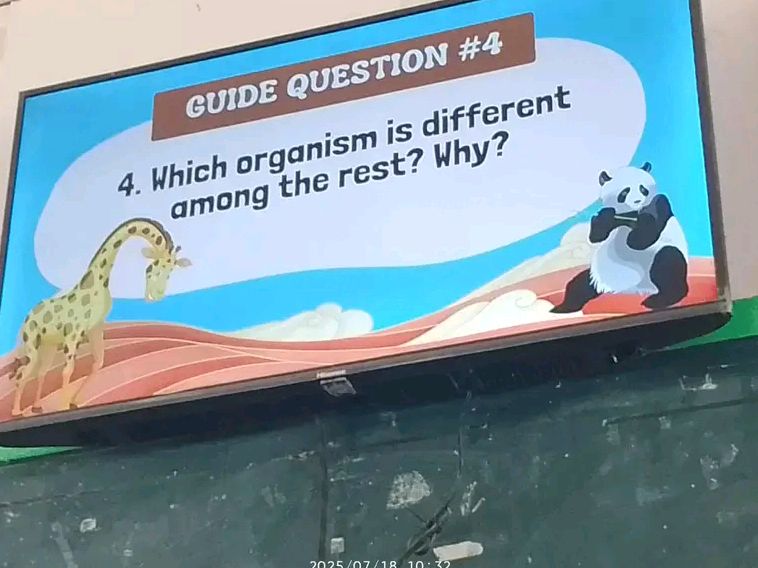 Which organism is different among the rest?