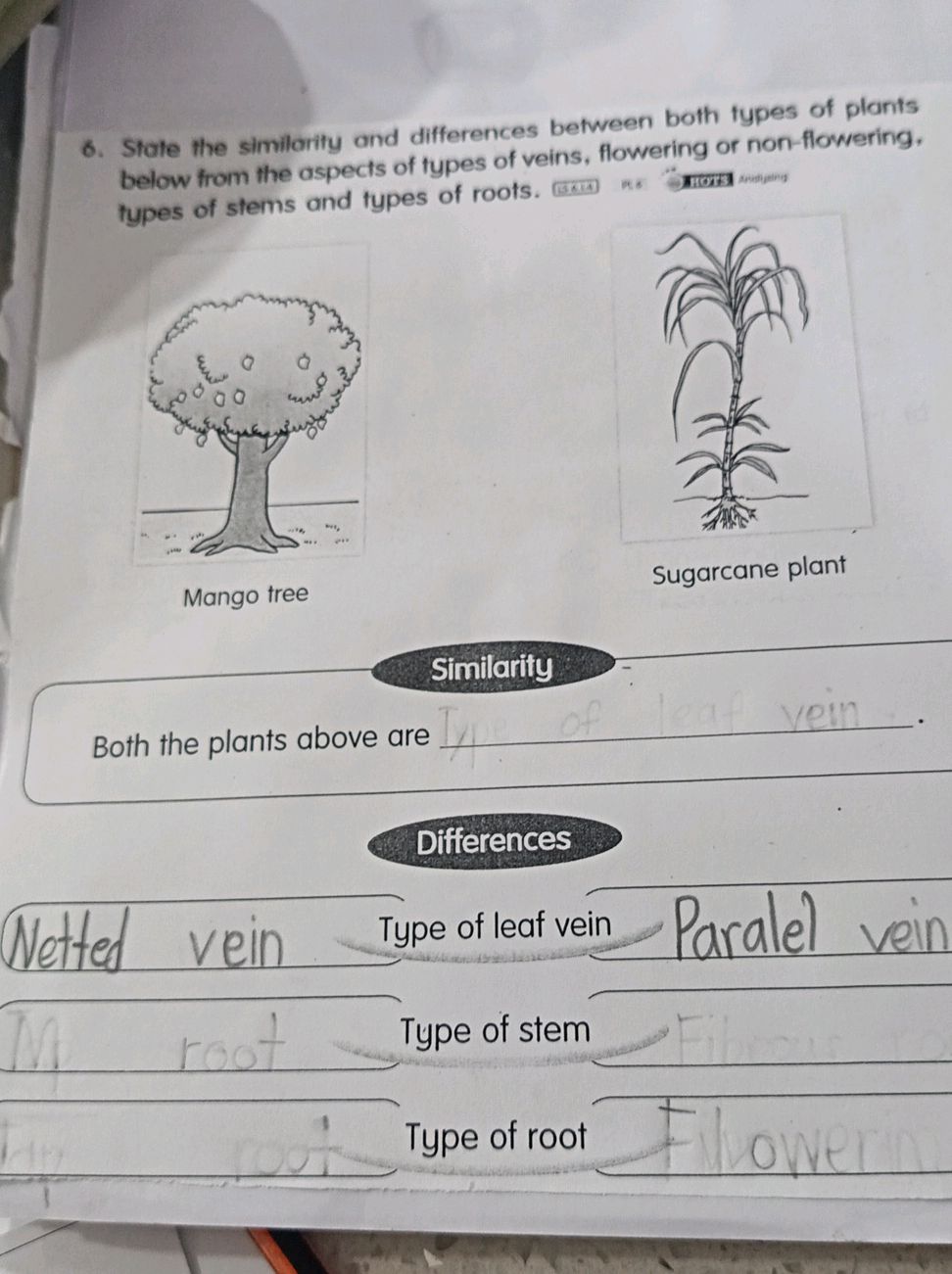 6. State the similarity and differences | StudyX