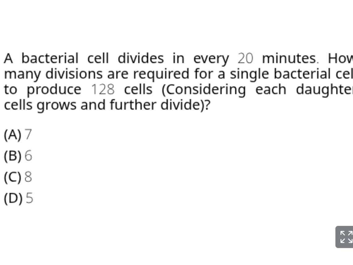 A bacterial cell divides in every 20