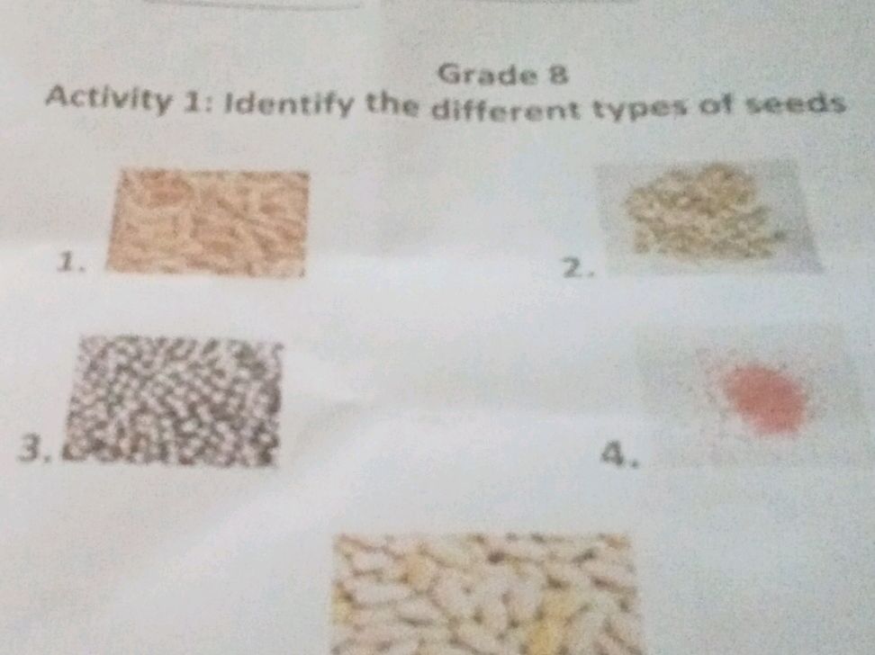 Activity 1: Identify the different types of | StudyX