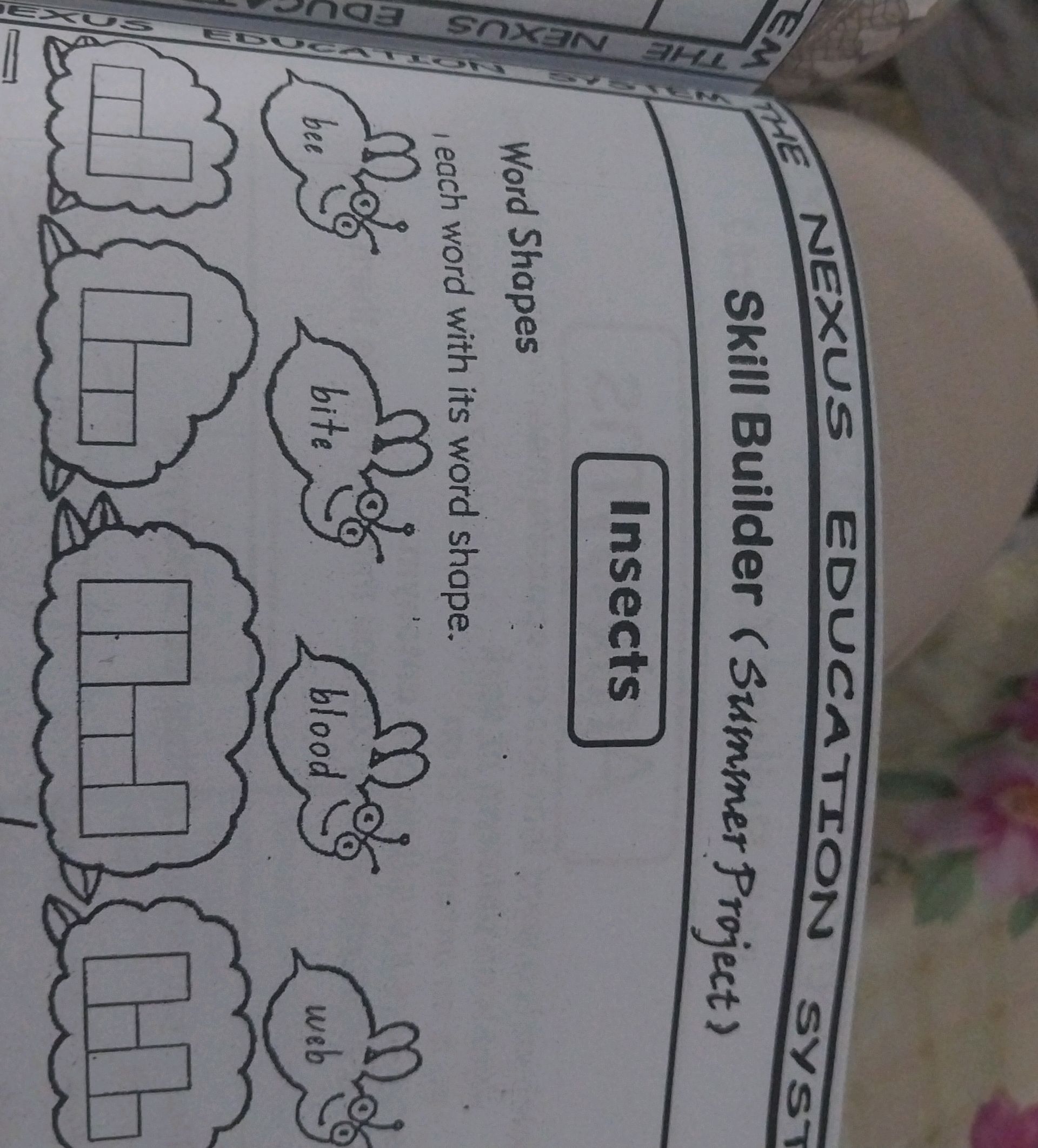 Match each word with its word shape. Words: | StudyX