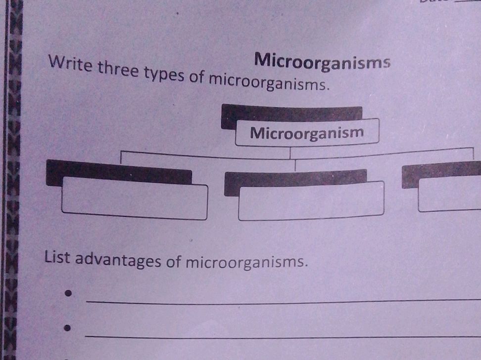 Write three types of microorganisms. List