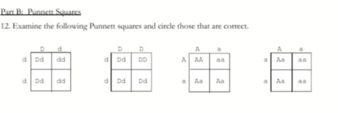 Examine the following Punnett squares and | StudyX