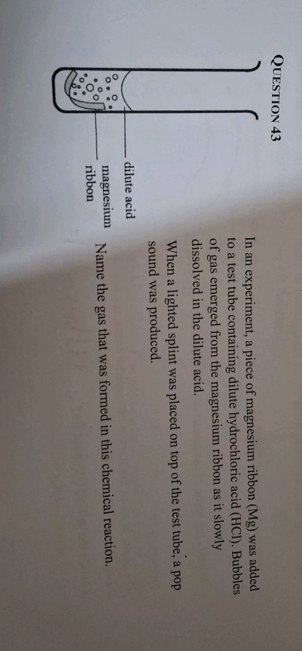 In an experiment, a piece of magnesium | StudyX