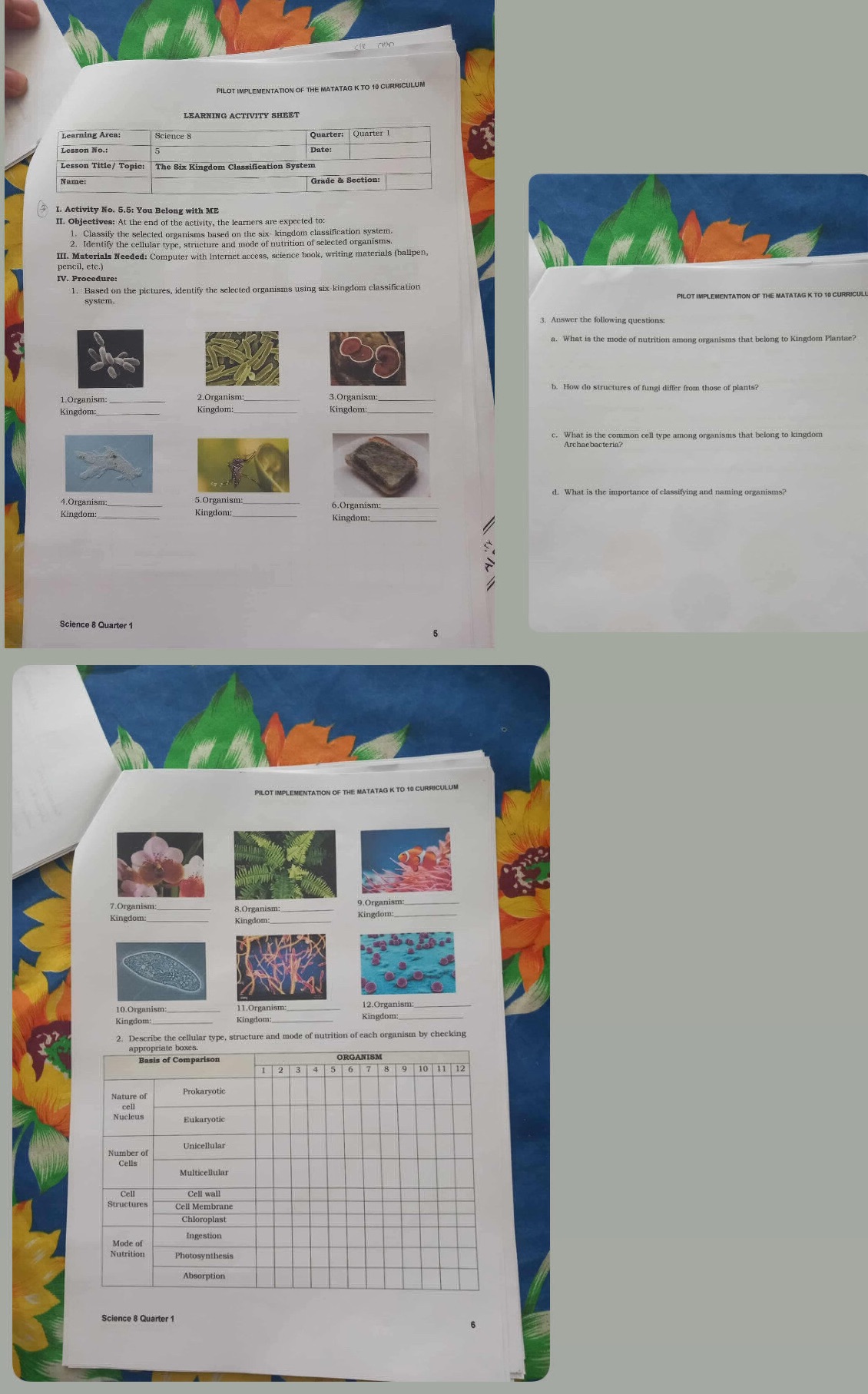 1. Based on the pictures, identify the | StudyX