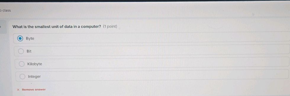 What is the smallest unit of data in a | StudyX