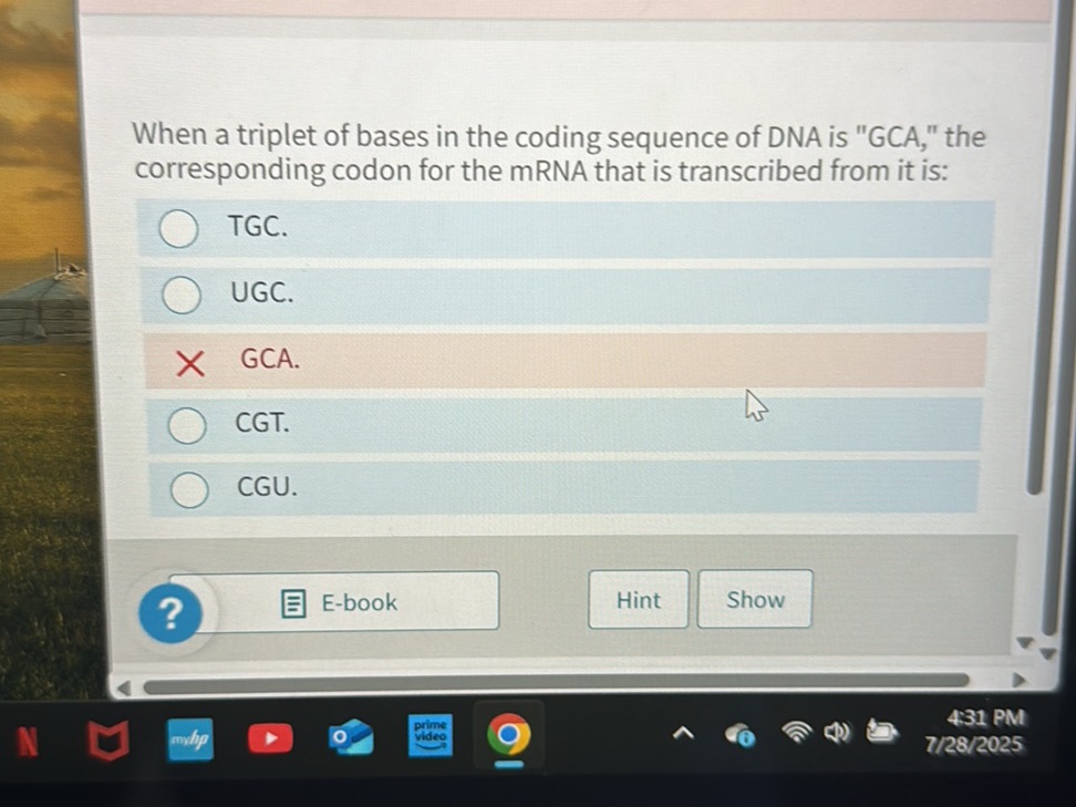 When a triplet of bases in the coding | StudyX