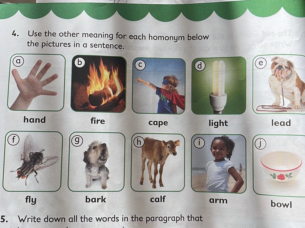 Use the other meaning for each homonym below