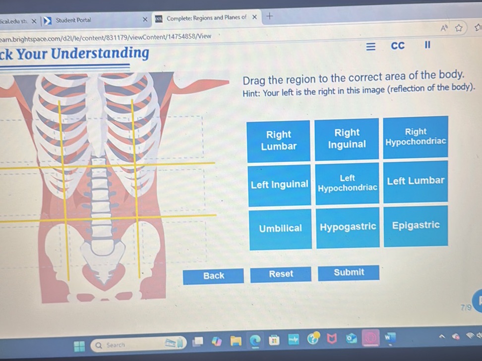 Drag the region to the correct area of the | StudyX