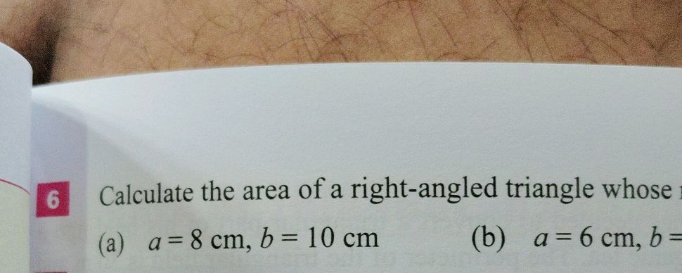 Calculate the area of a right-angled | StudyX