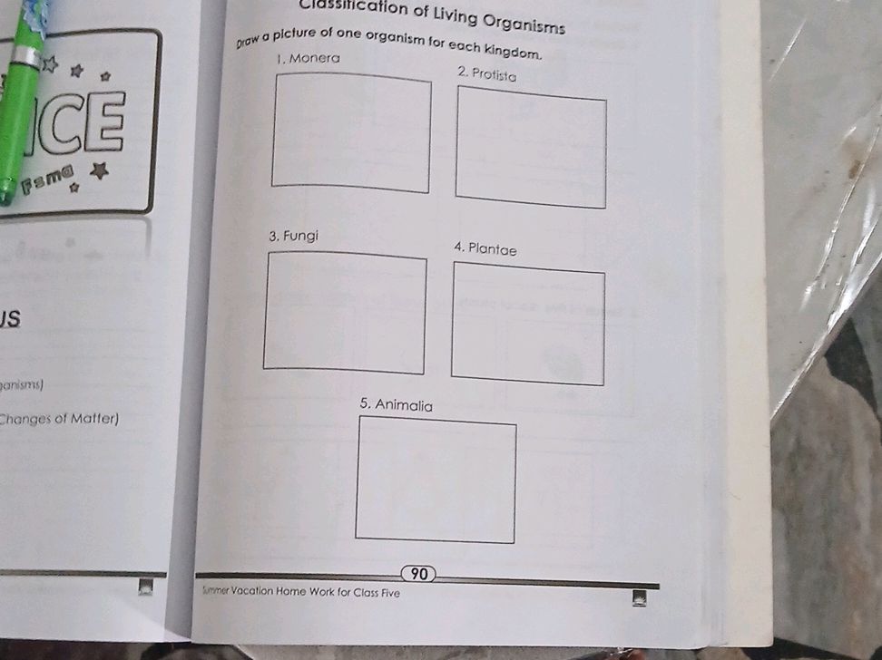 Draw a picture of one organism for each | StudyX