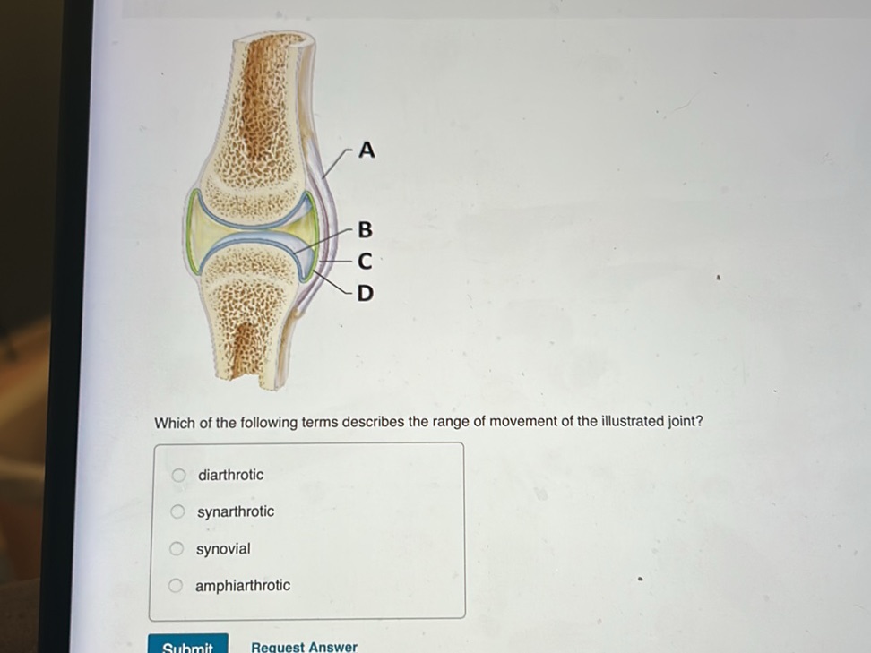 Which of the following terms describes the | StudyX