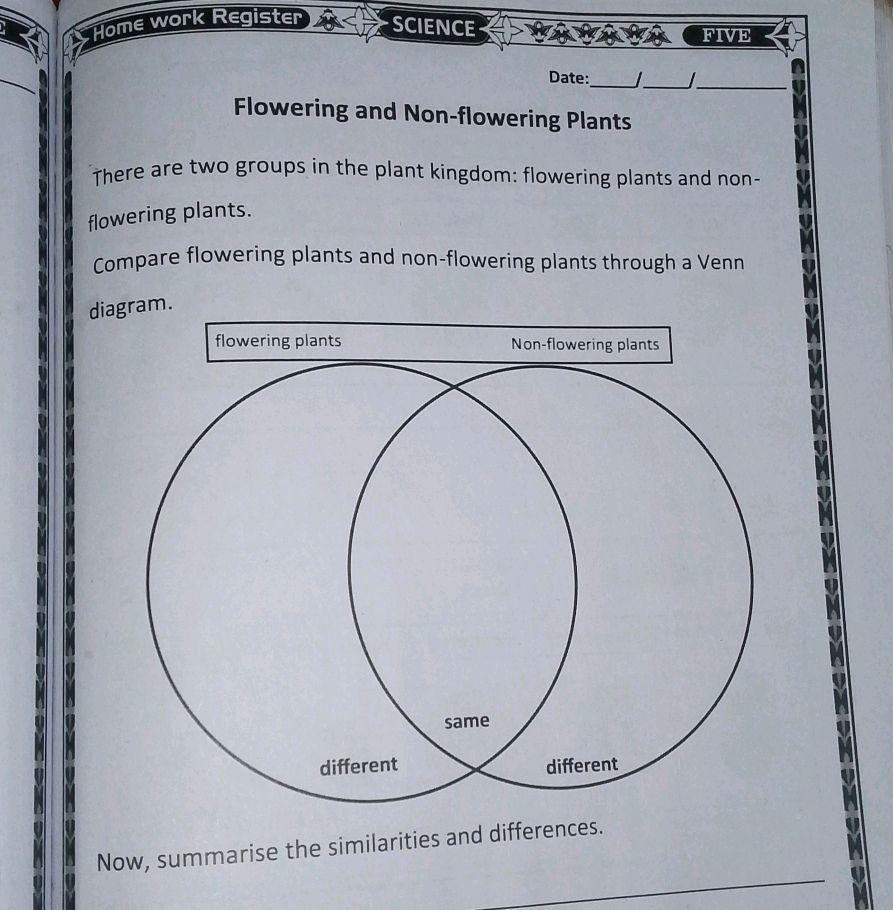 There are two groups in the plant kingdom: | StudyX