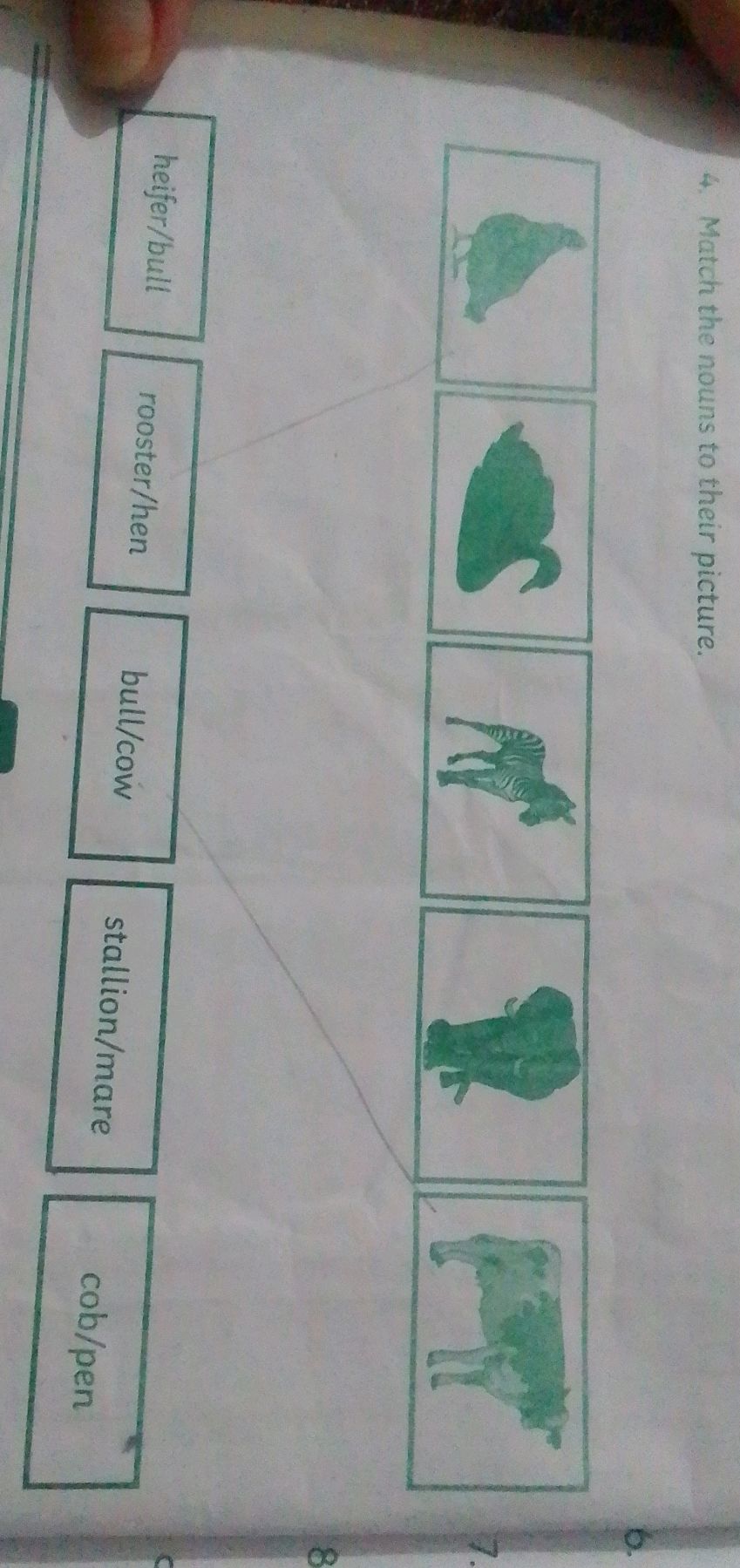 Match the nouns to their picture.