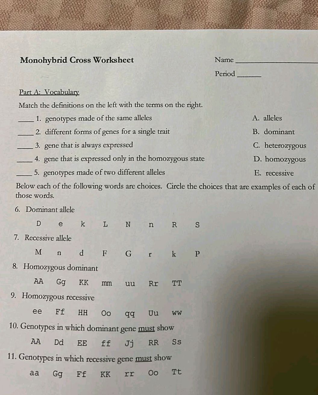 Monohybrid Cross Worksheet Part A: