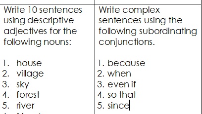Write 10 sentences using descriptive | StudyX