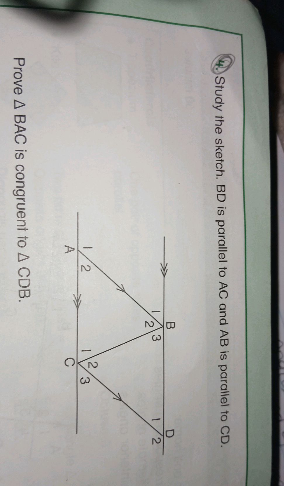 Study the sketch. BD is parallel to AC and | StudyX