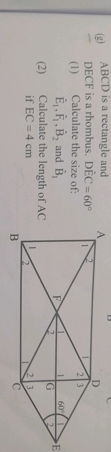 (g) ABCD is a rectangle and DECF is a | StudyX
