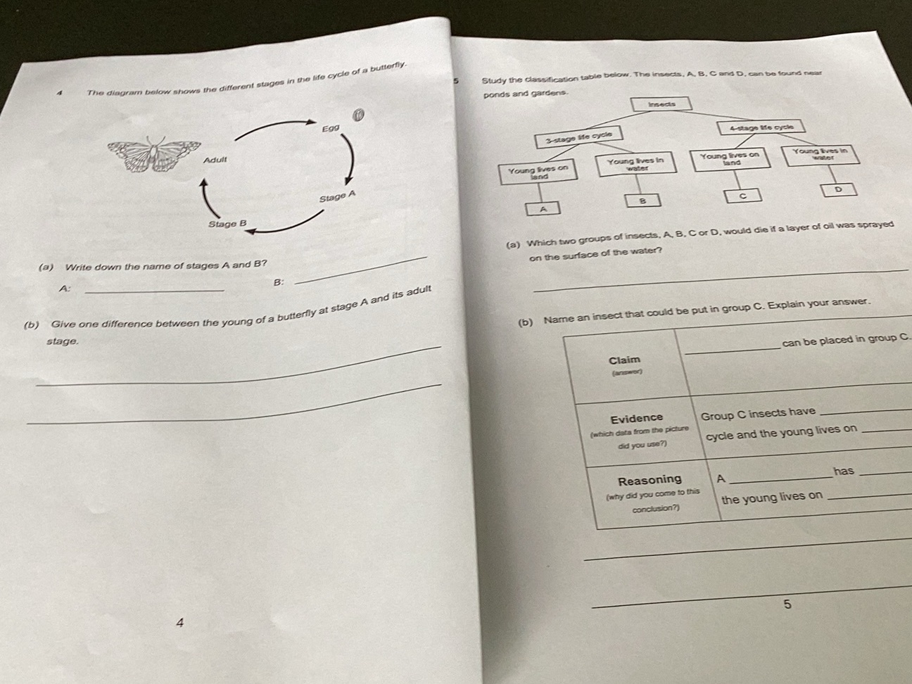 The diagram below shows the different stages | StudyX