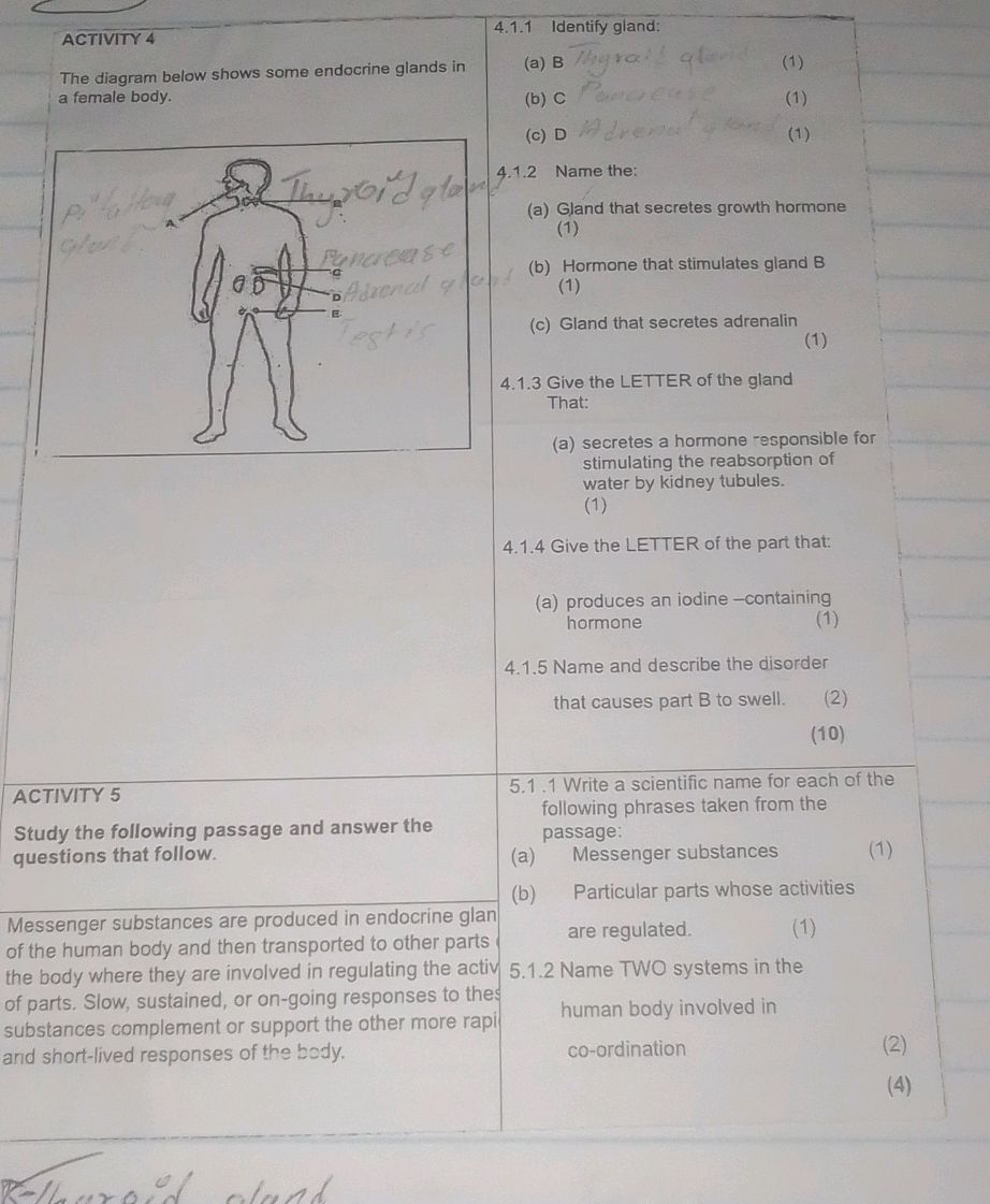 ACTIVITY 4 The diagram below shows some | StudyX