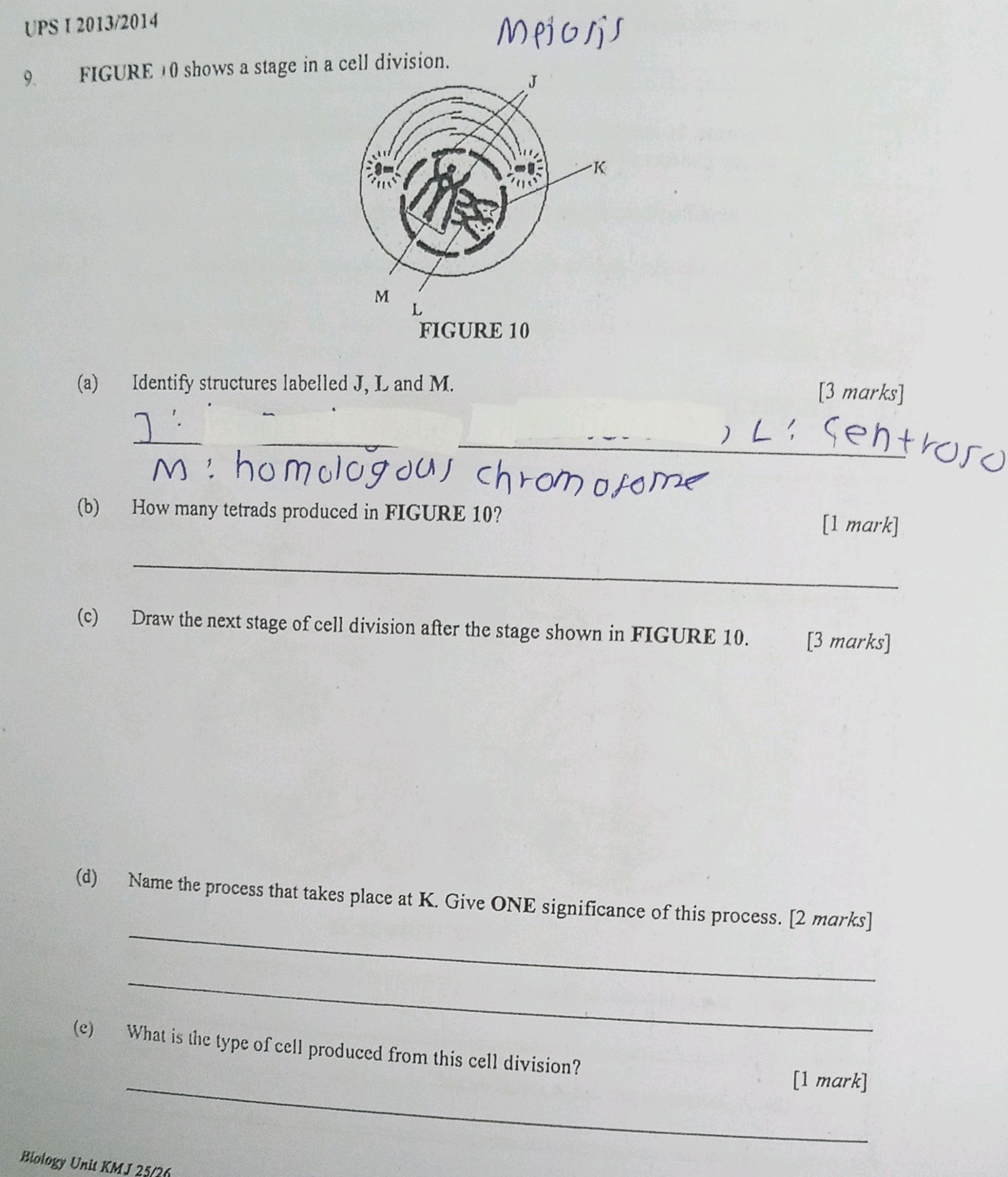 (a) Identify structures labelled J, L and M. | StudyX