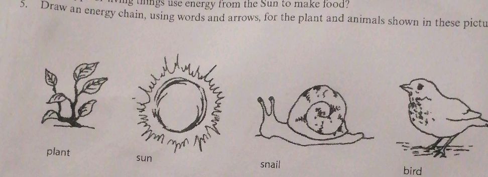 Draw an energy chain, using words and